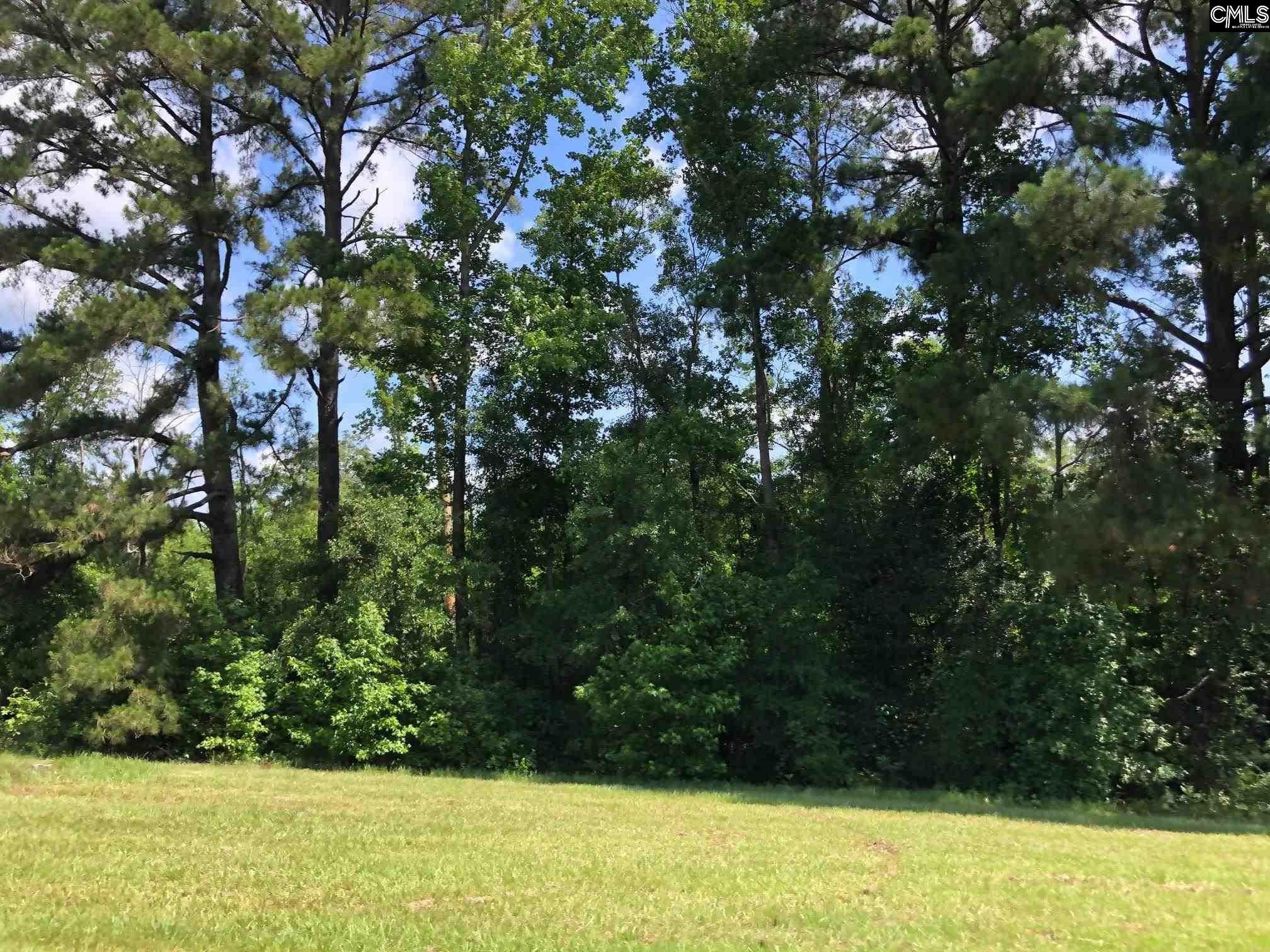 24.16 acres in Lee County, South Carolina