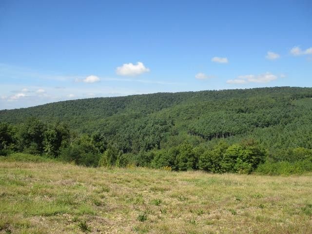44 acres in Grayson County, Virginia