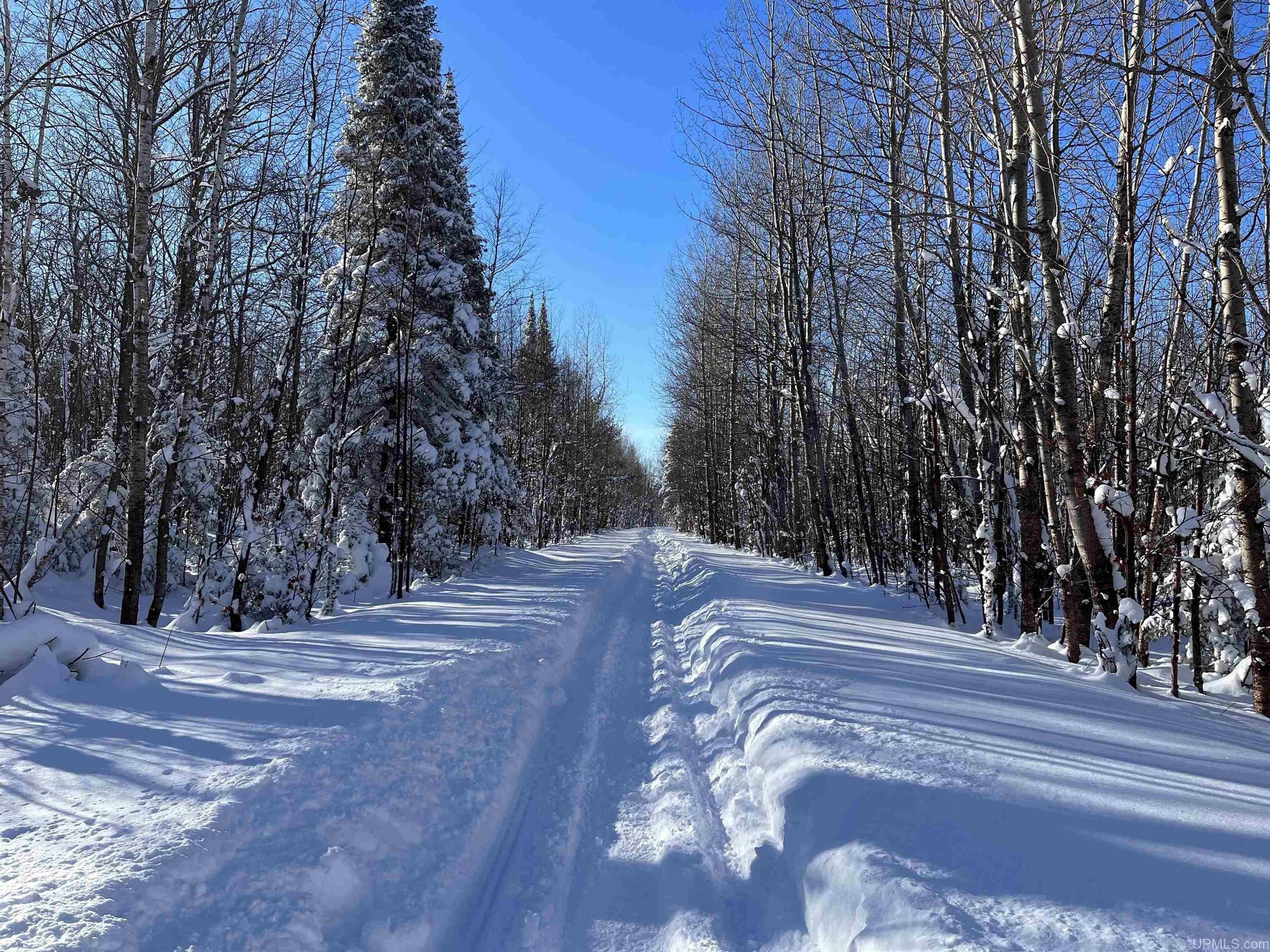 36.8 acres in Iron County, Wisconsin