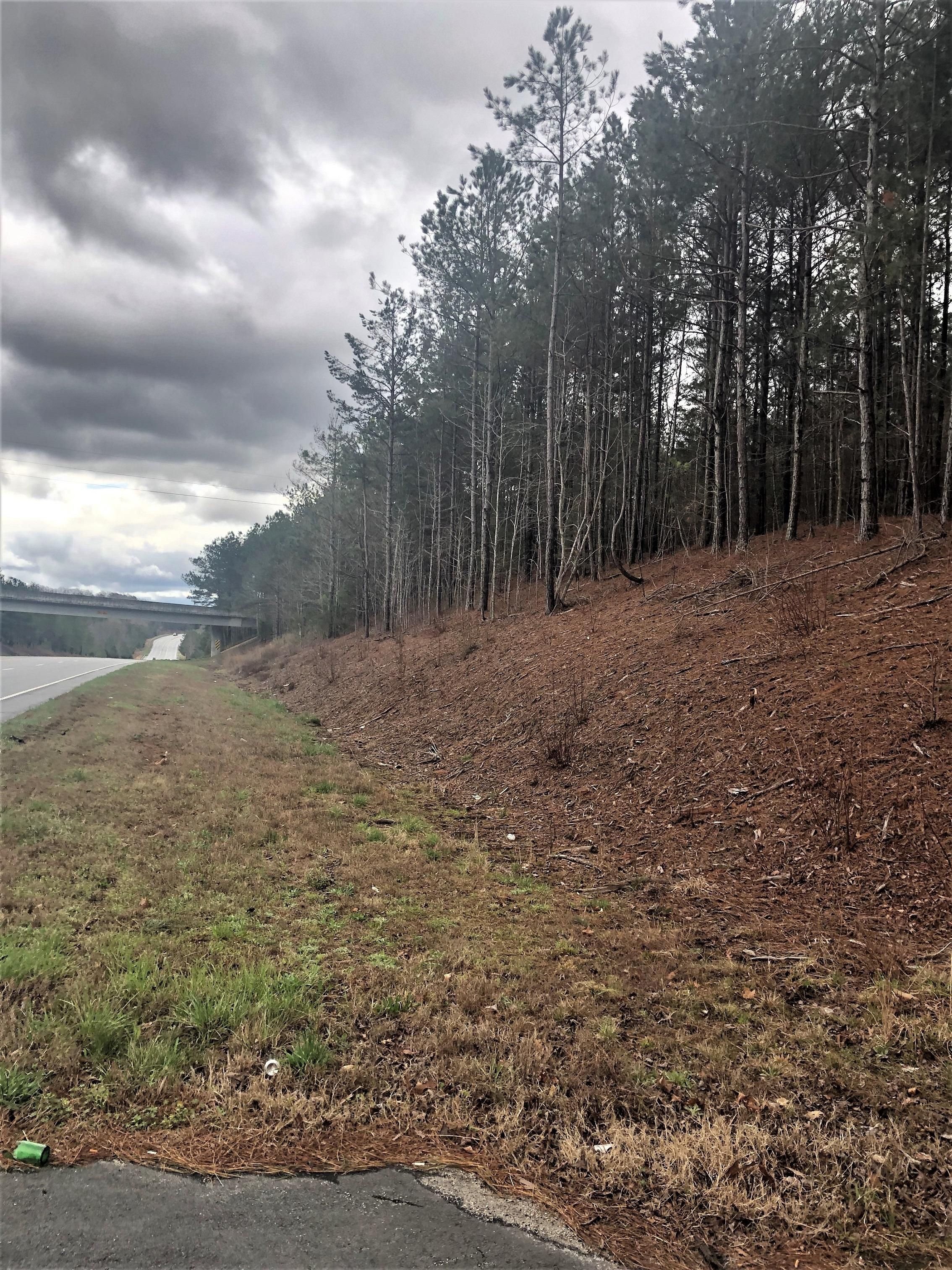 19980 Highway 25, Ware Shoals, SC 29692 | Land.com