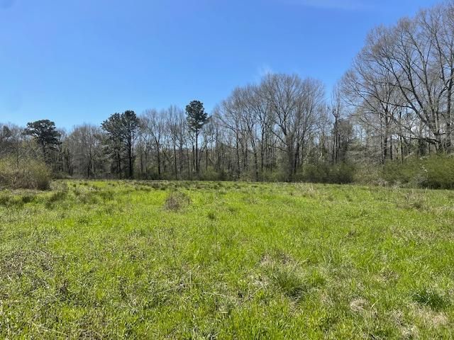 20 acres in Jones County, Mississippi