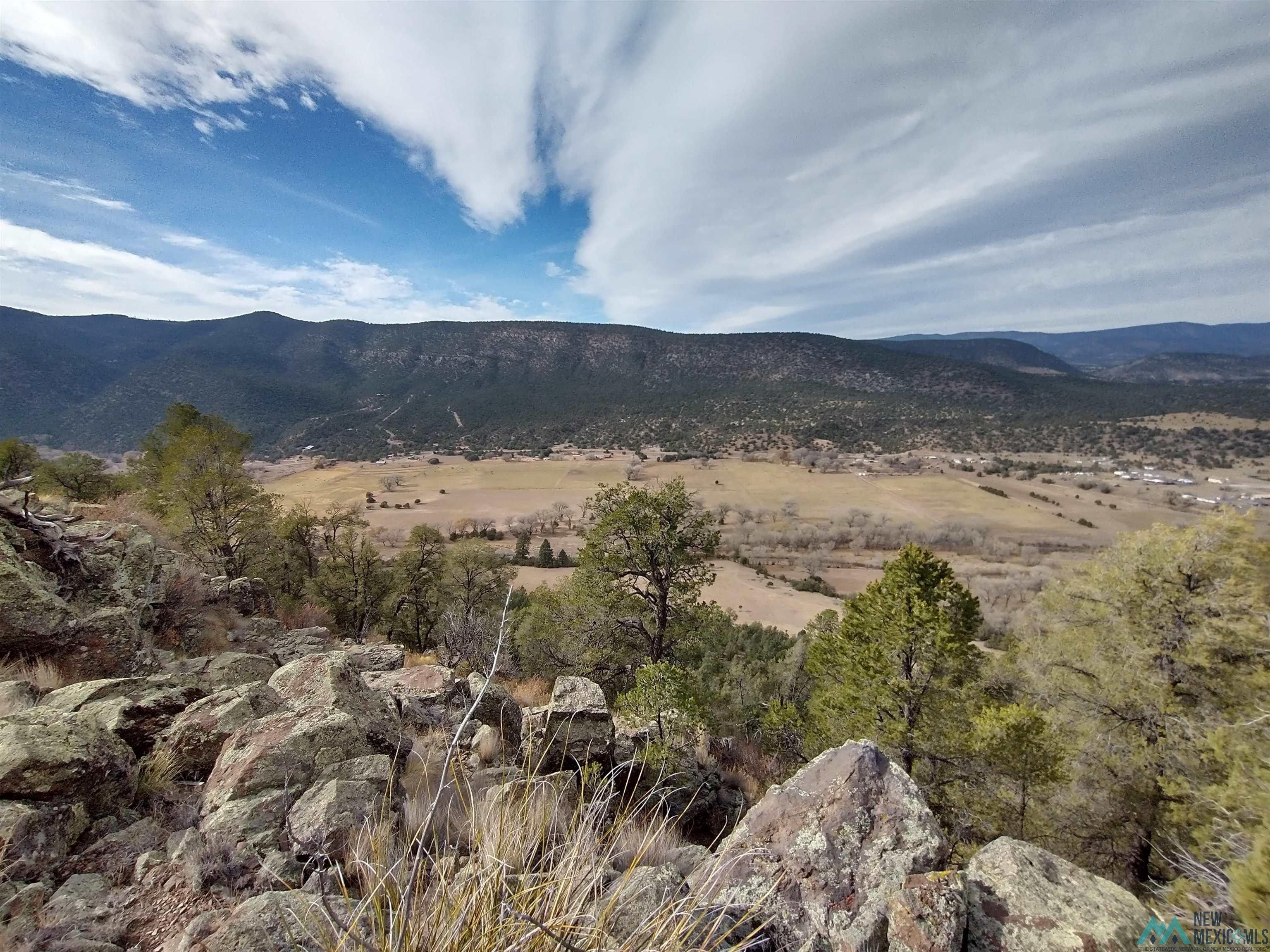 68.3 acres in Catron County, New Mexico