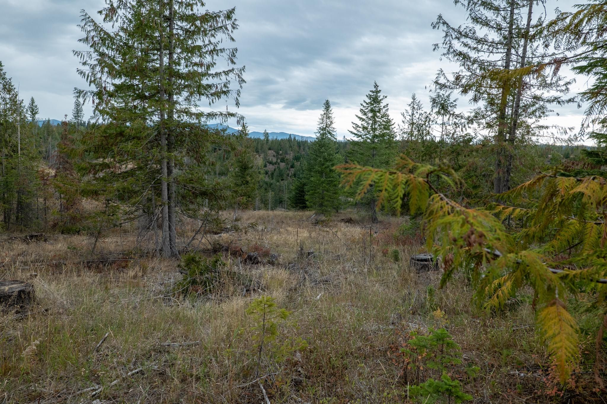 20.7 acres in Benewah County, Idaho