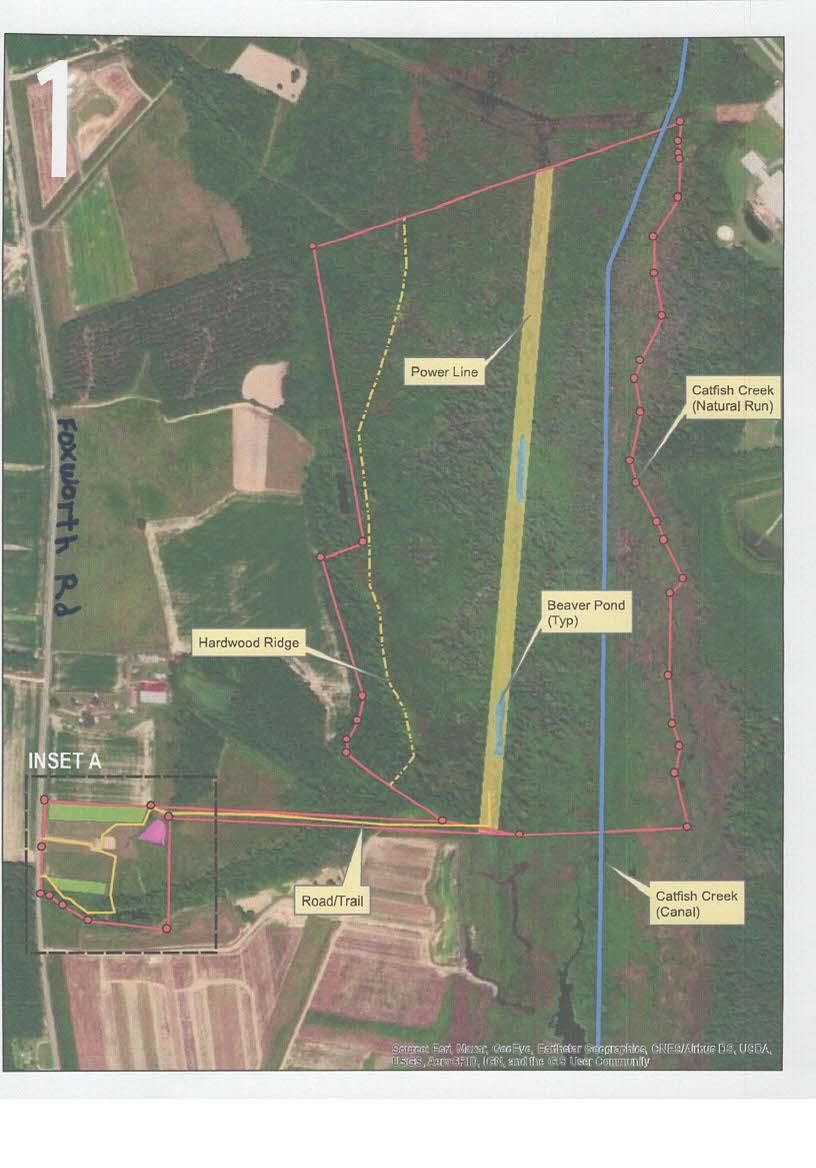 206 acres in Marion County, South Carolina