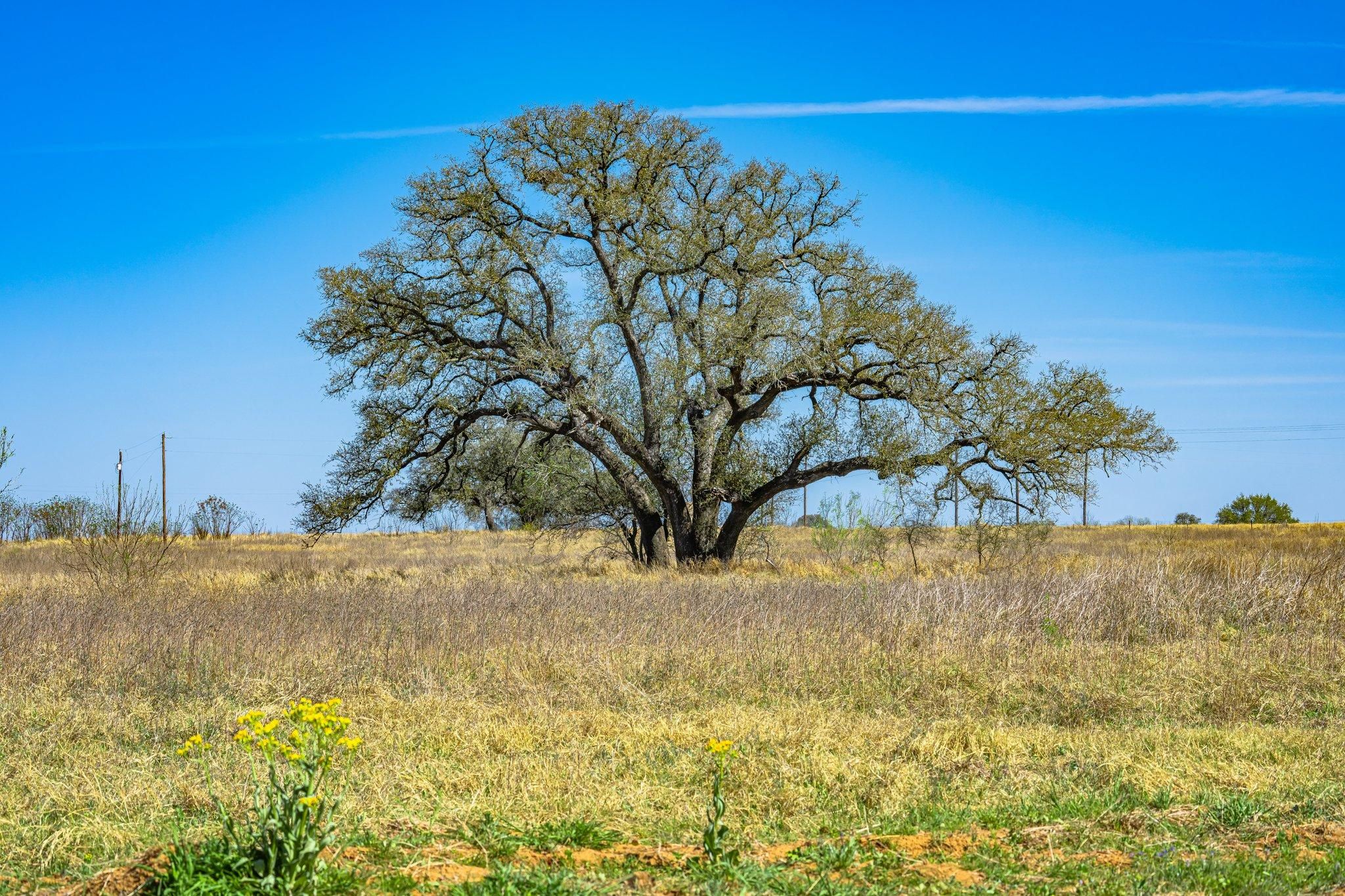 10.01 acres in Frio County, Texas