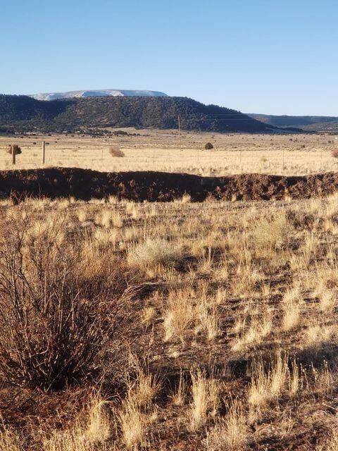 40 acres in Catron County, New Mexico
