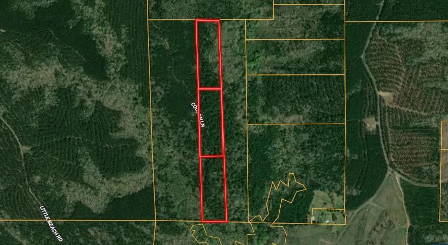 6.67 acres in Sabine Parish, Louisiana
