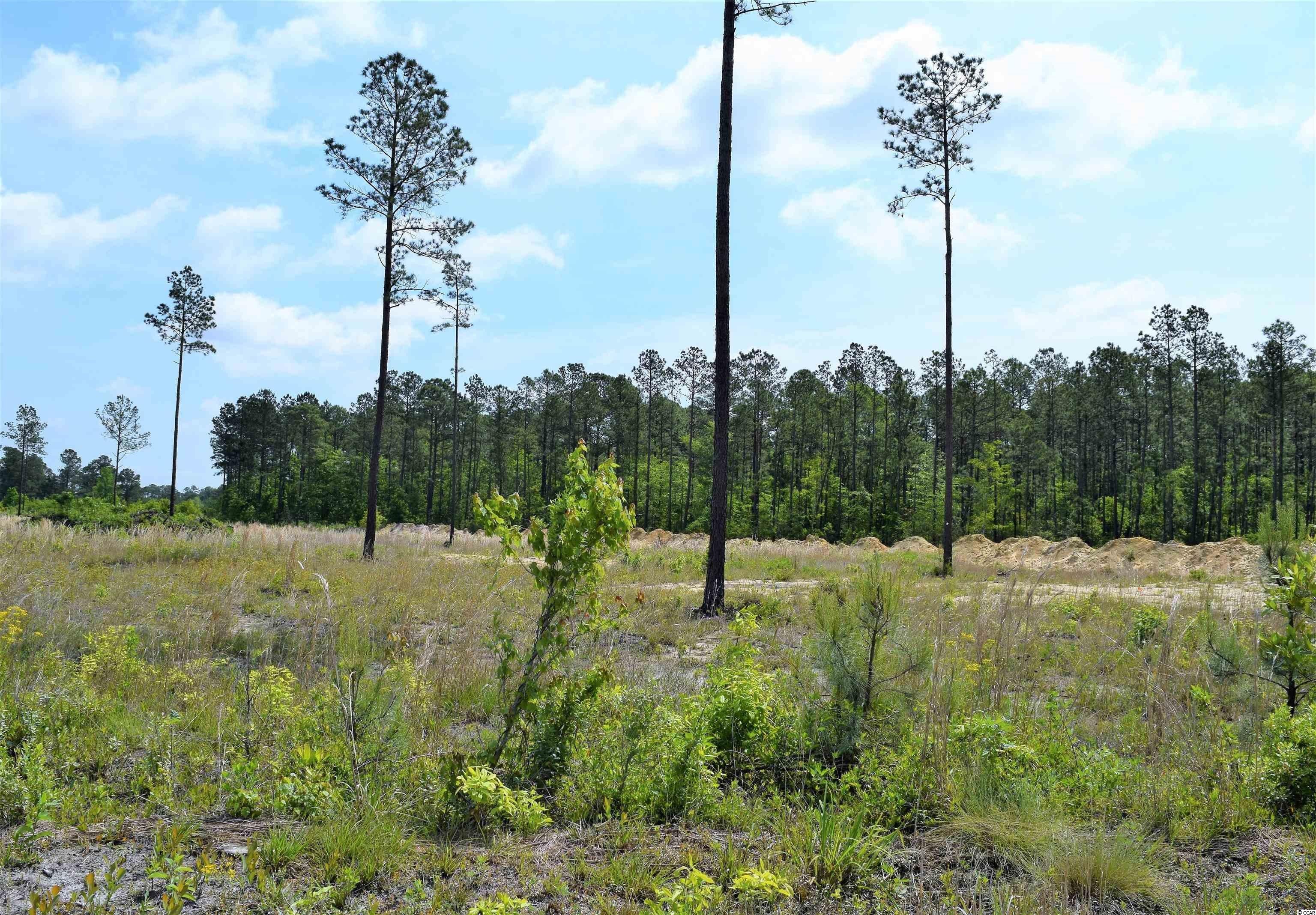 2 acres in Horry County, South Carolina