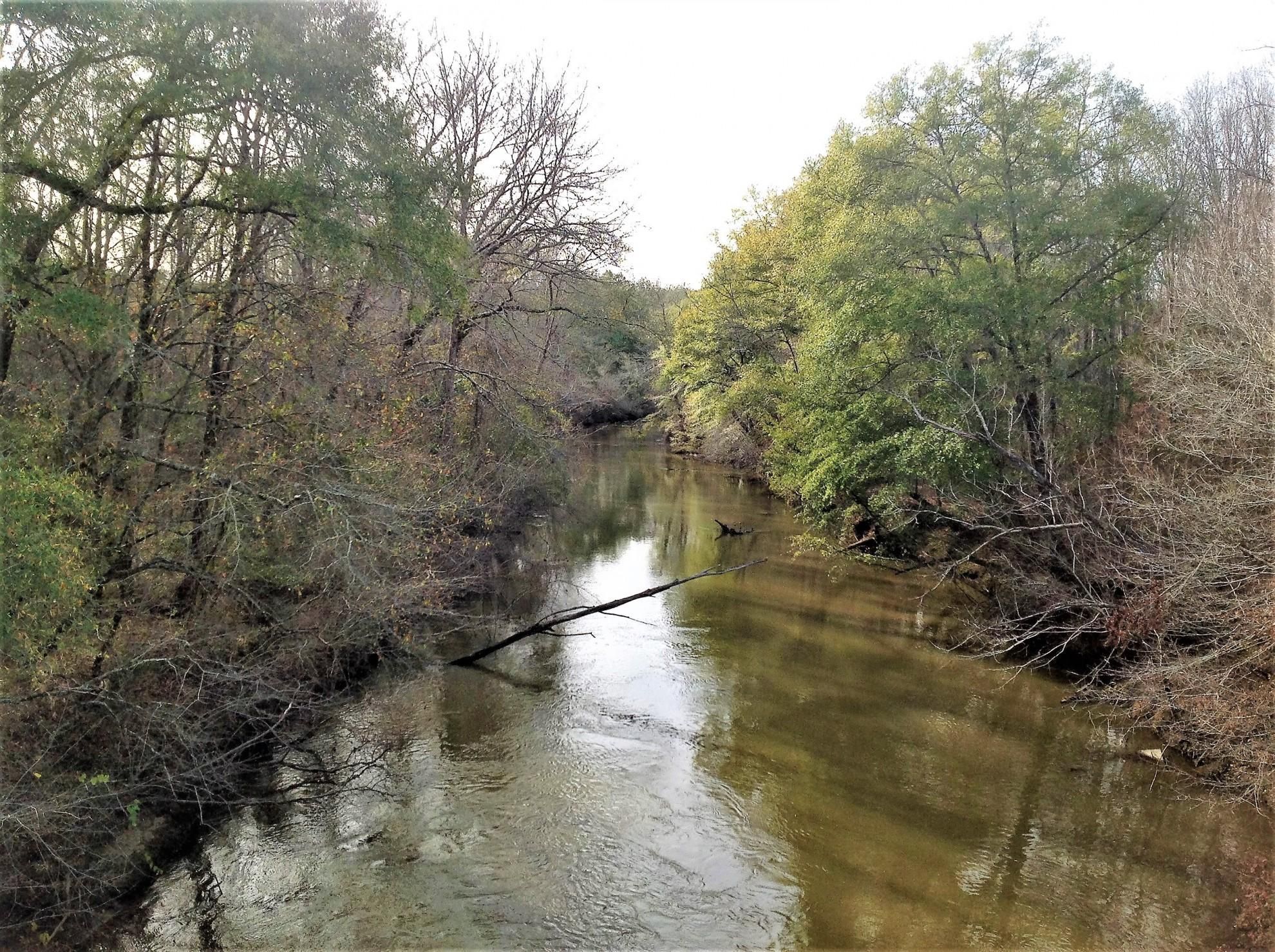 116 acres in Daviston, AL, | Land.com