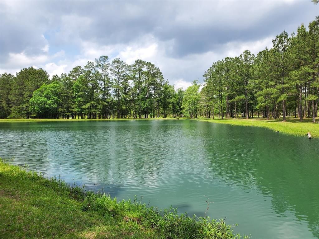 19 acres in Tyler County, Texas