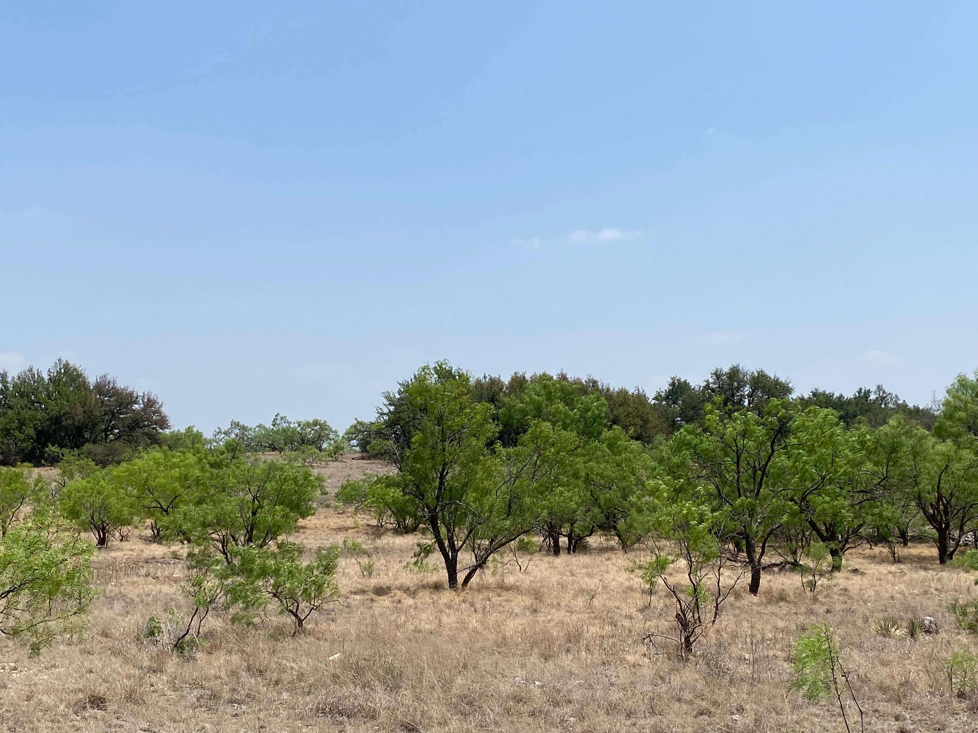 Waddell Ln, Menard, TX 76859 | Land.com