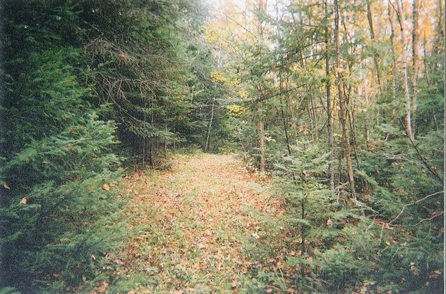 32 acres in Iron County, Wisconsin