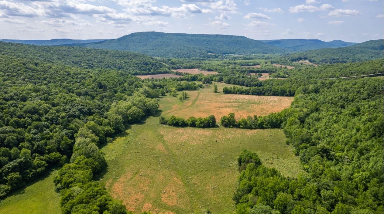 178 County Road 142, Princeton, AL 35766 | MLS: 1807556 | Land.com