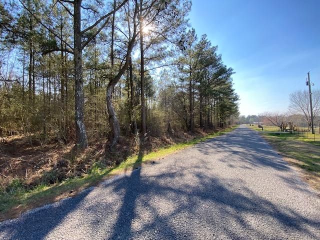 Jones Chapel Loop, Springville, AL 35146 | Land.com