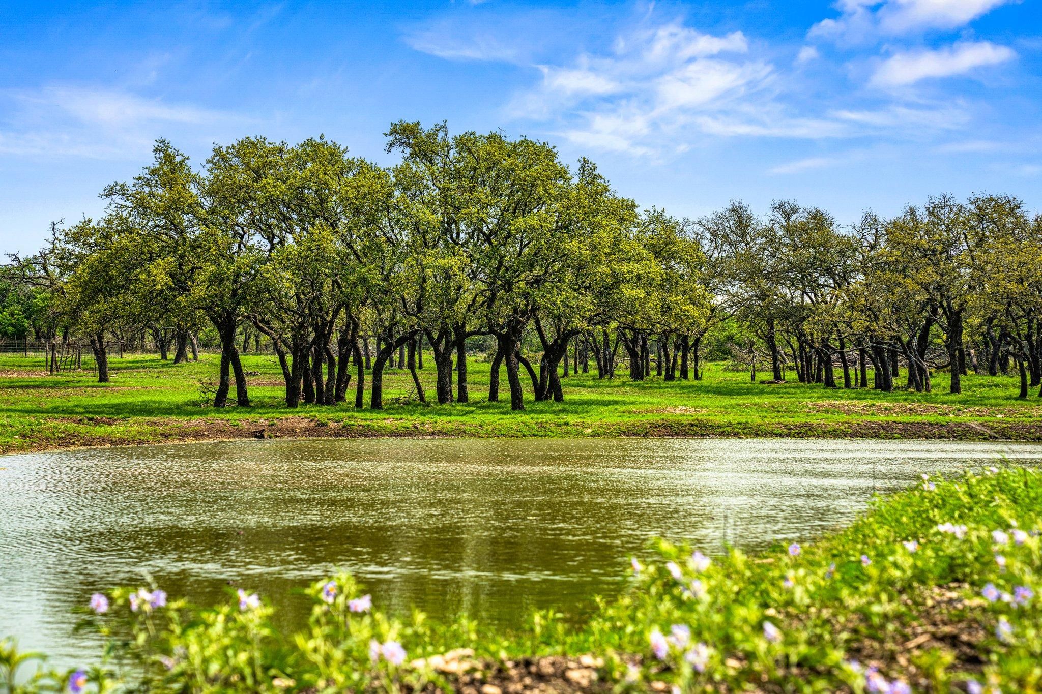 100 acres in Kerr County, Texas