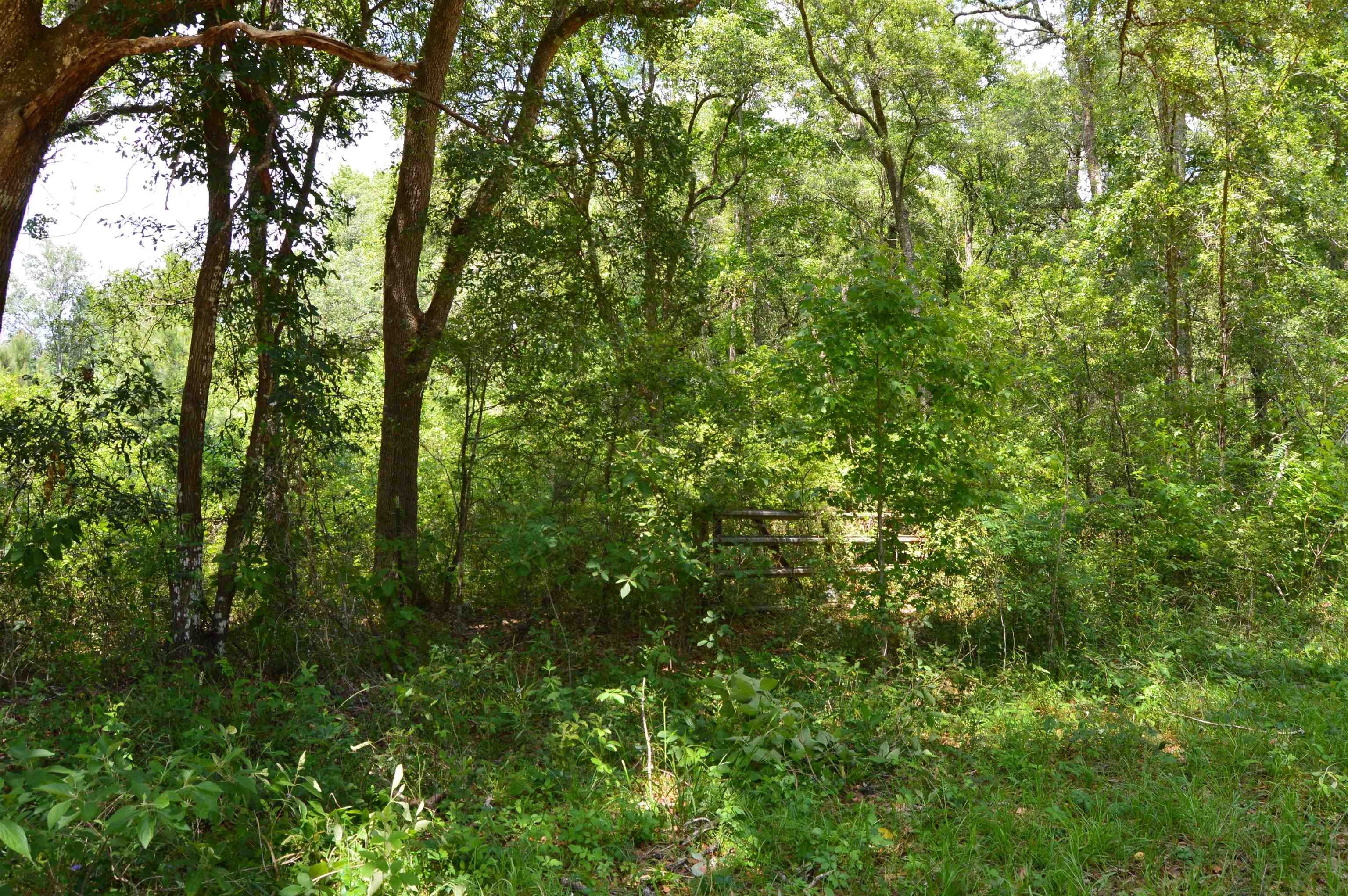 5.08 acres in Jefferson County, Florida