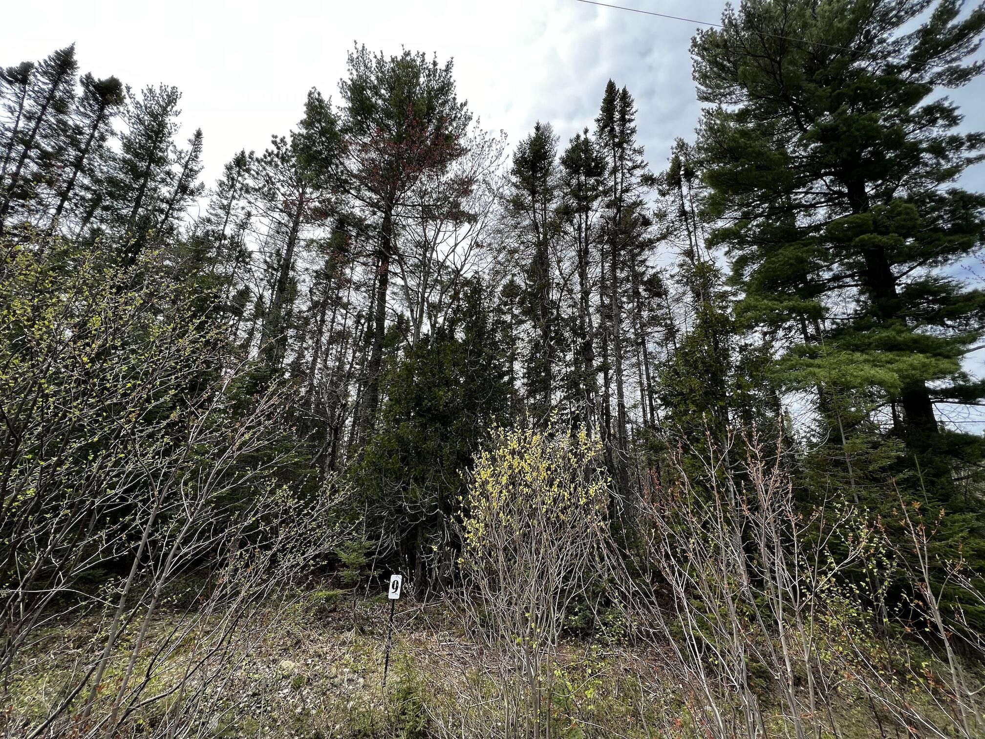 4.93 acres in Chippewa County, Michigan