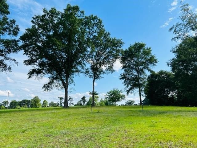 62.56 acres in Sabine County, Texas