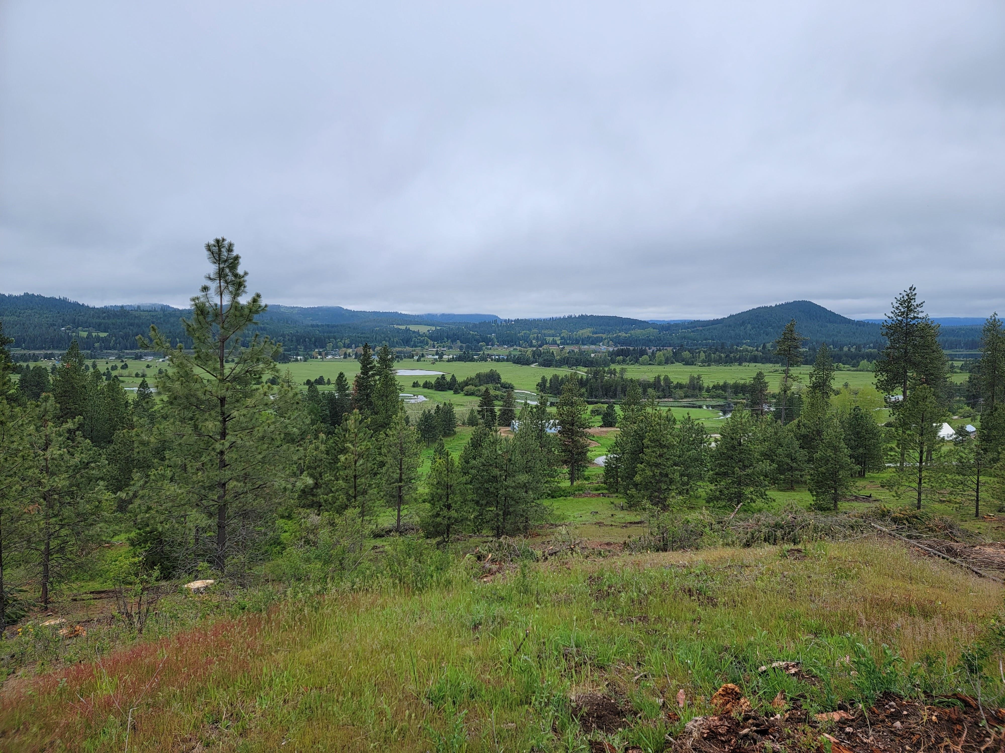 Leclerc Creek Road, Usk, WA 99119 | Land.com