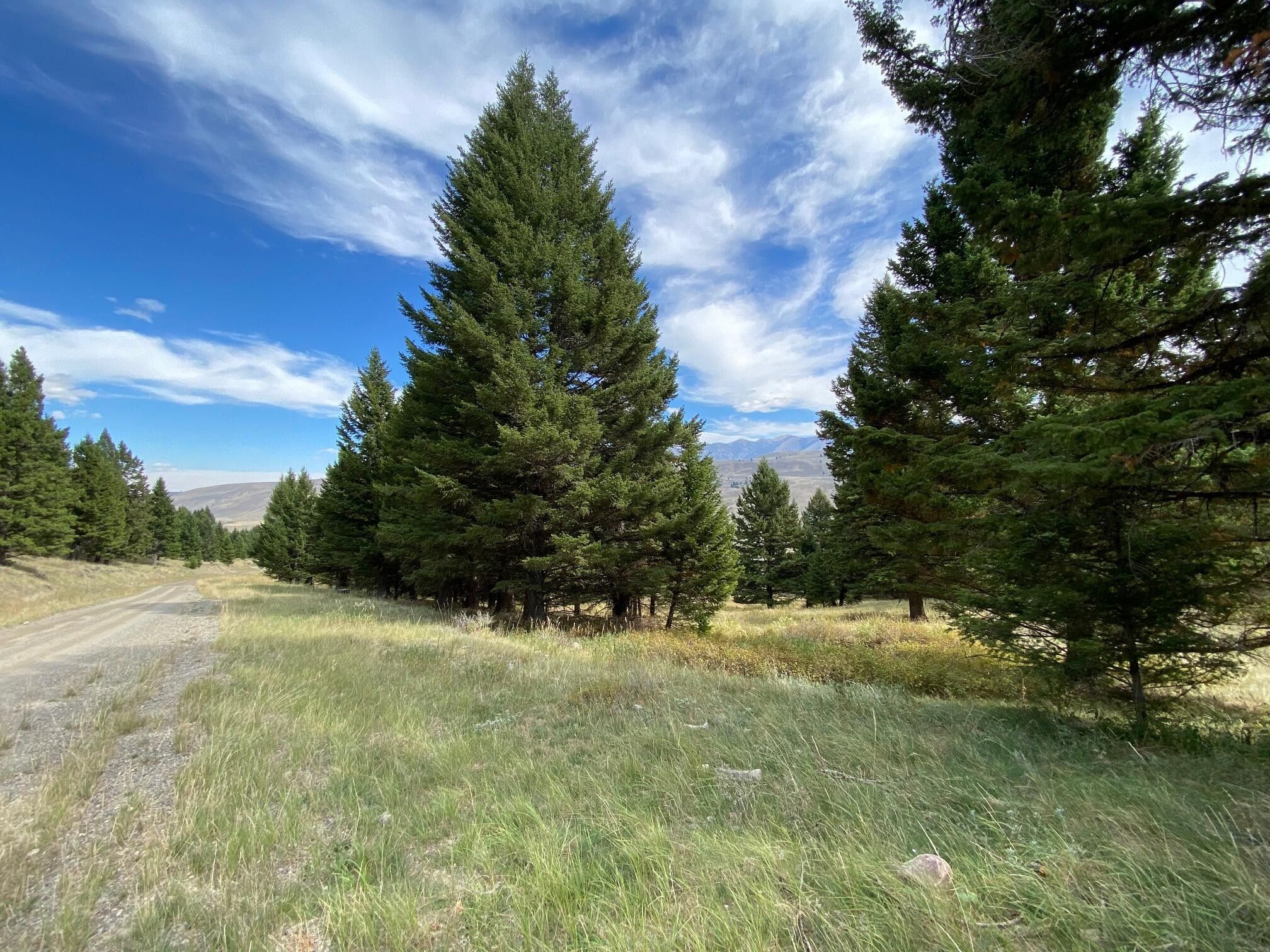 3 acres in Madison County, Montana