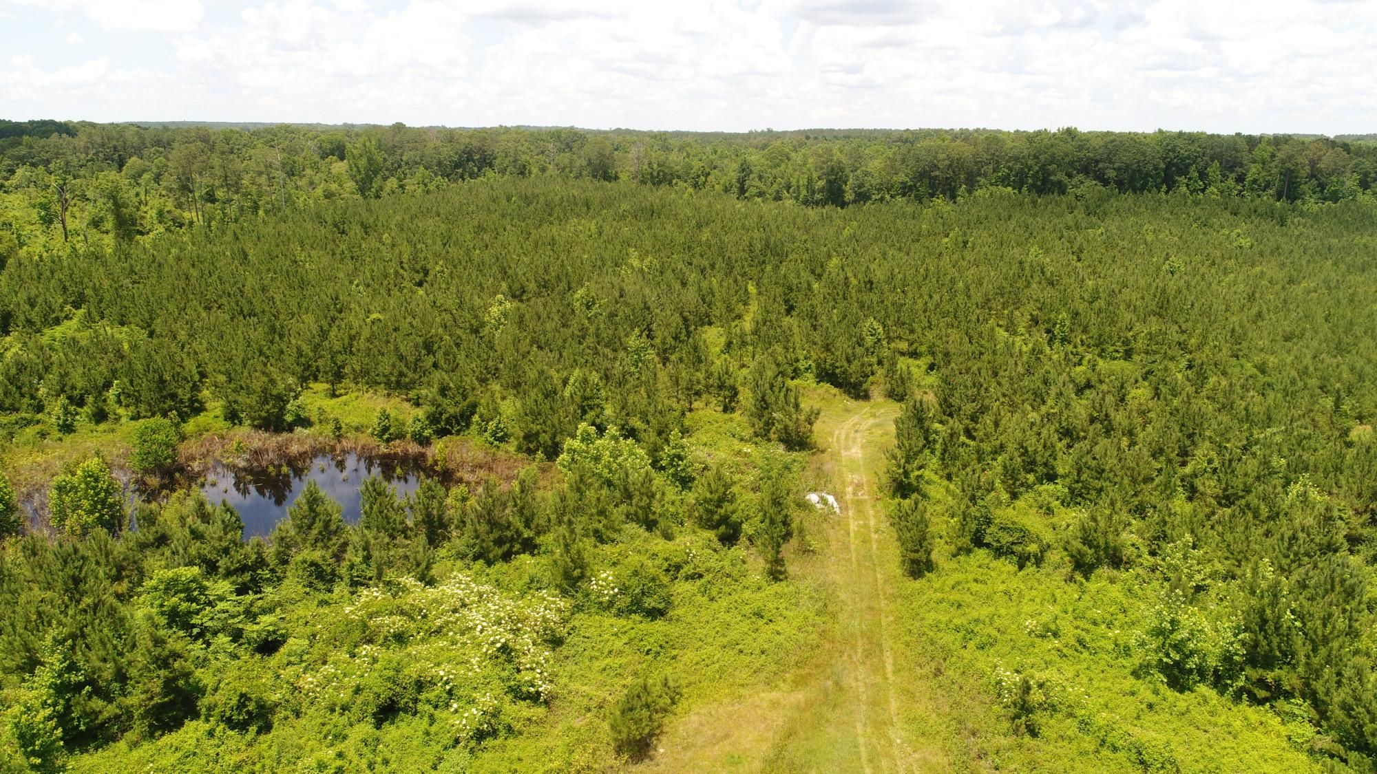 49 acres in Rutledge, AL, 36071 | Land.com