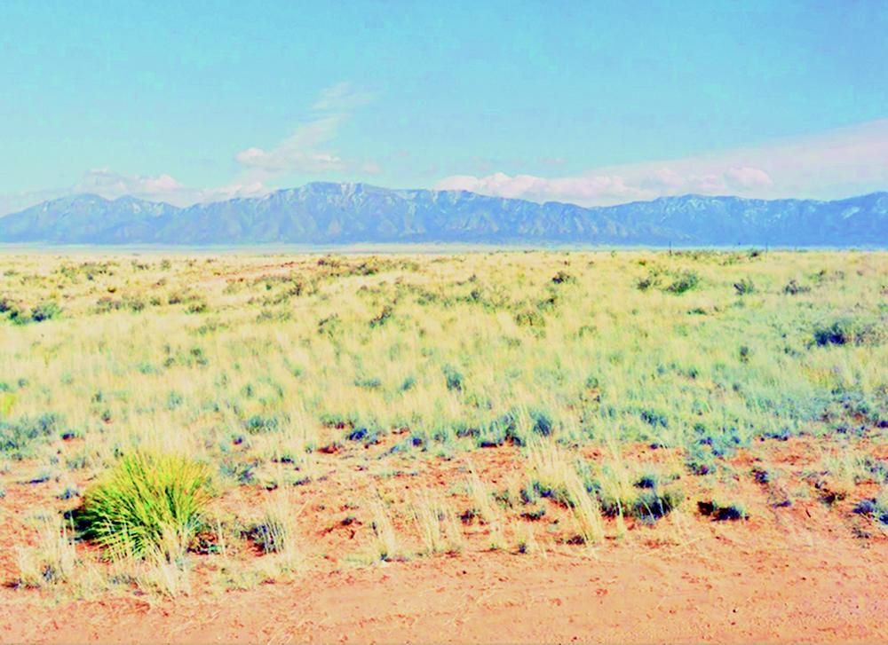0.25 acres in Valencia County, New Mexico