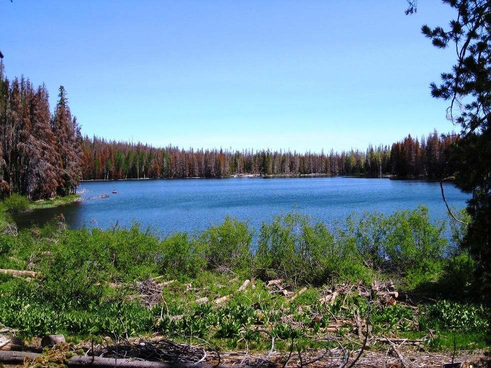 0.47 acres in Lake County, Oregon