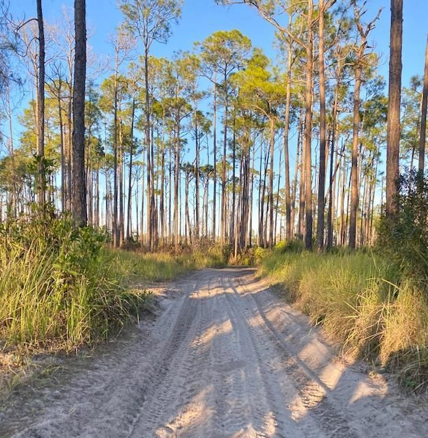2.5 acres in Frostproof, FL, 33843 | Land.com