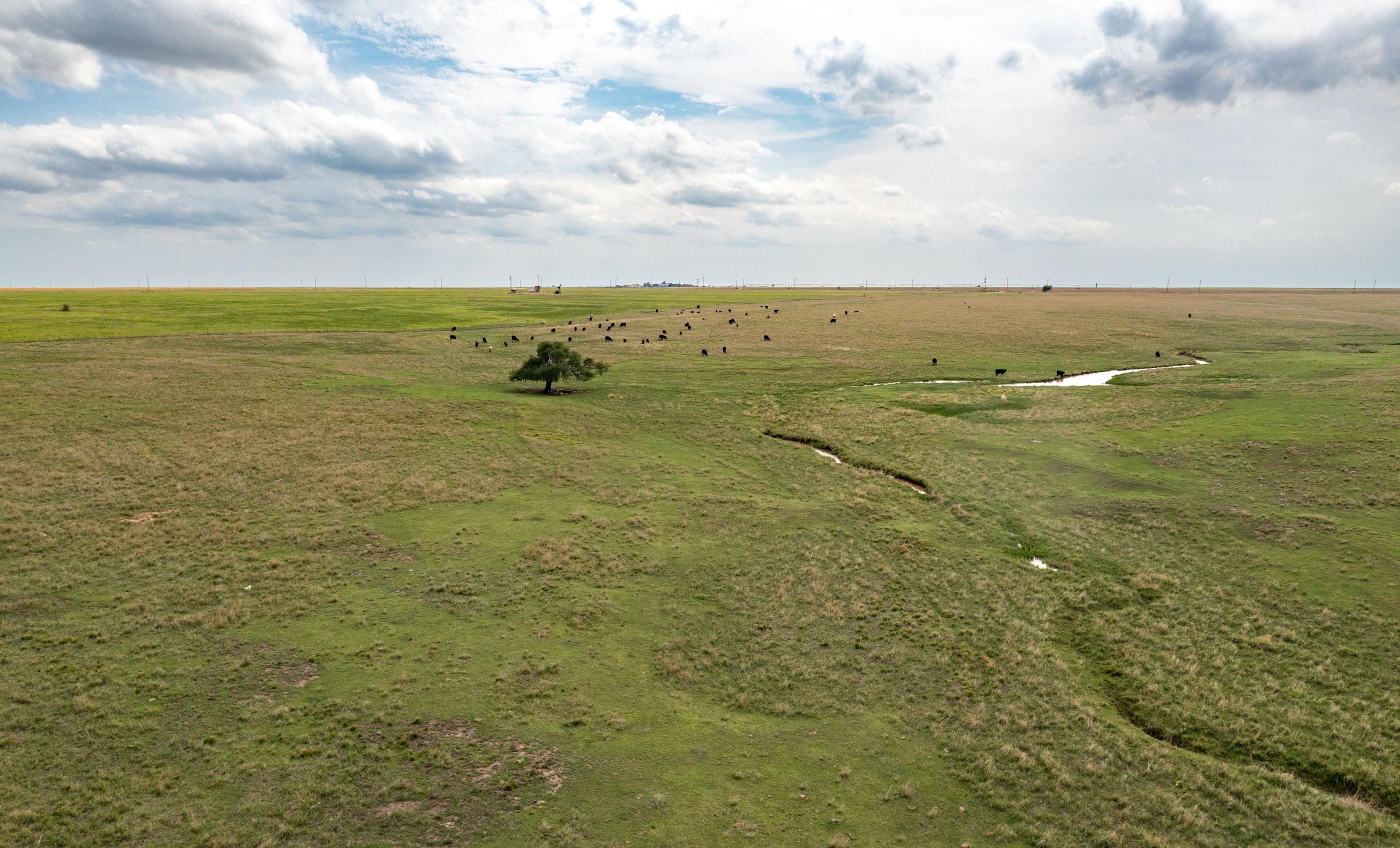 647.35 acres in Booker, TX, 79005 | Land.com