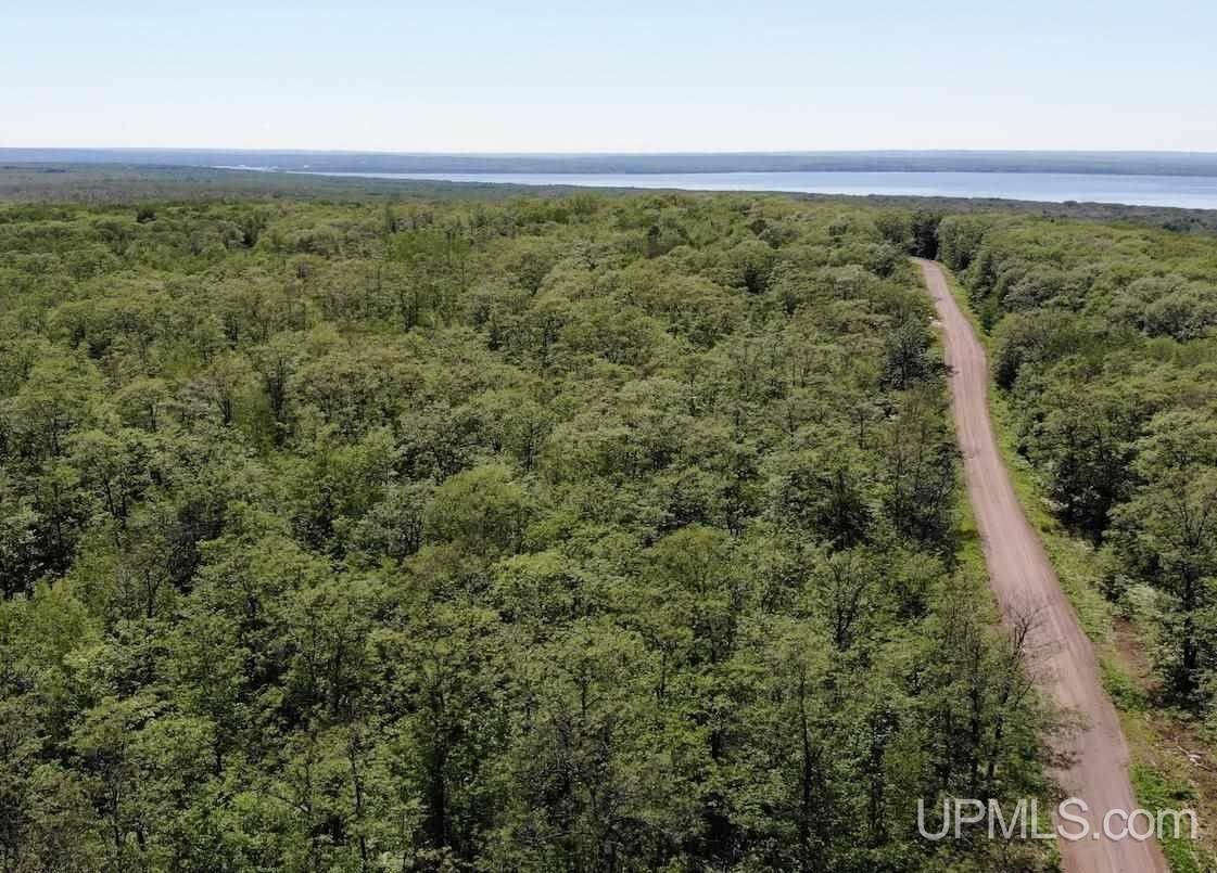 40 acres in Baraga County, Michigan
