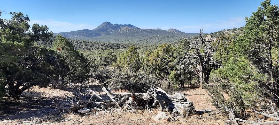 80 acres in Coconino County, Arizona