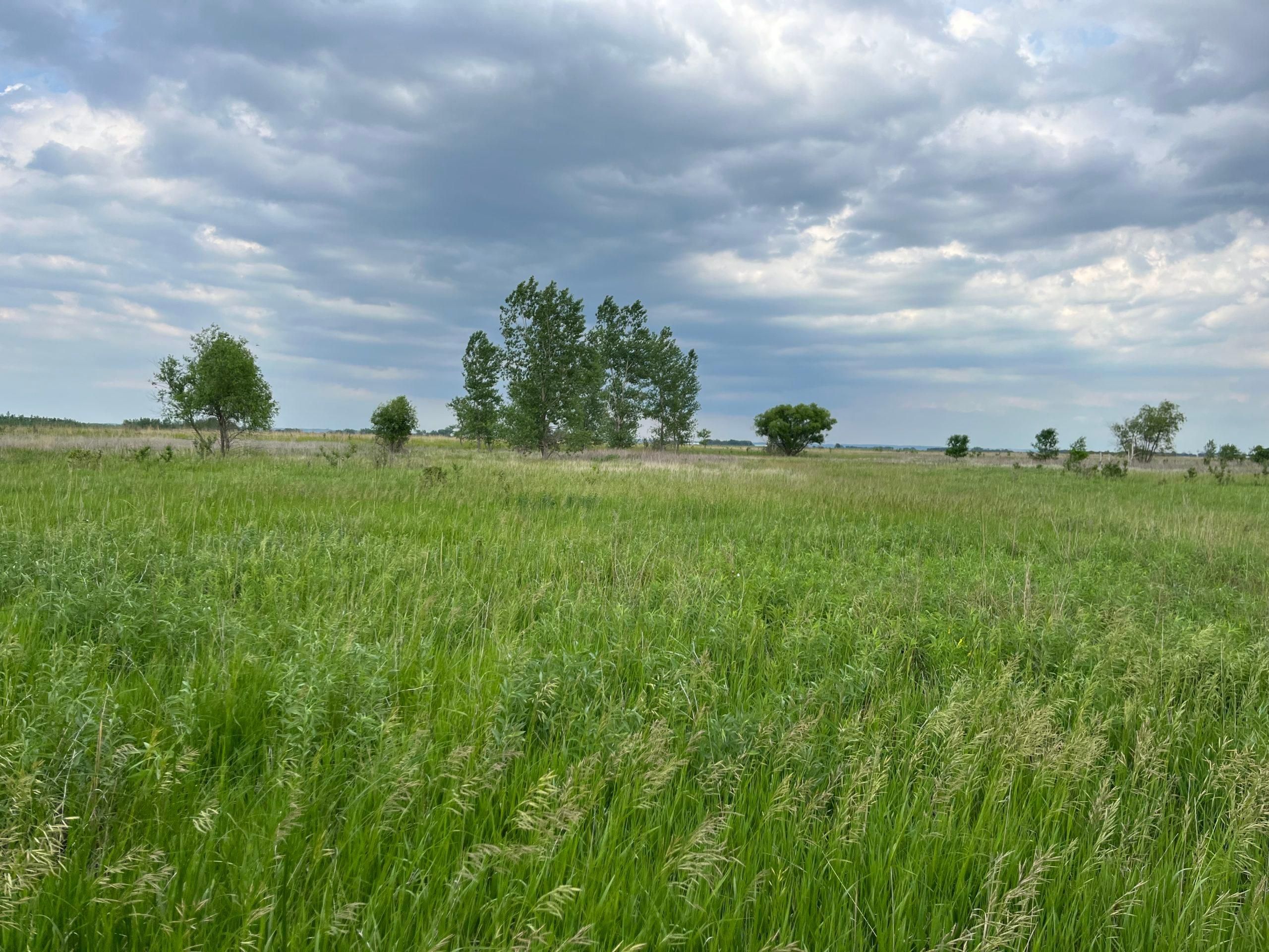 TBD, Whiting, IA 51063 | Land.com