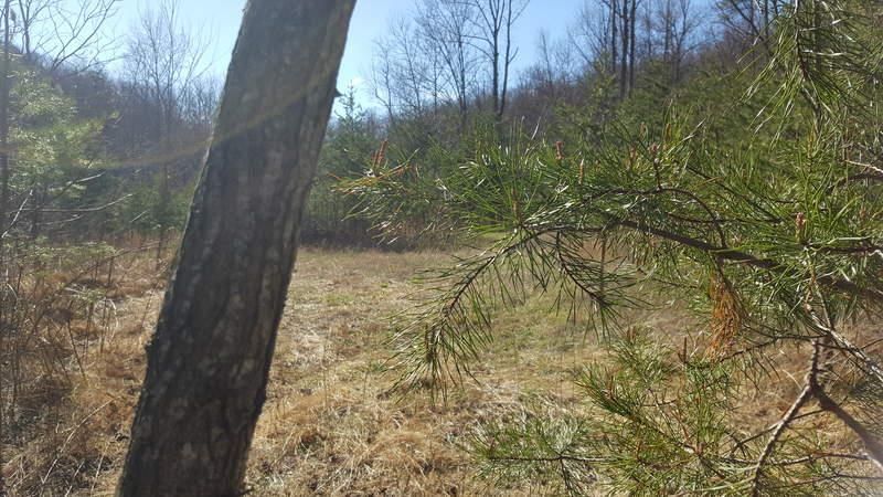 TBD Woolwine Highway, Woolwine, VA 24028 | Land.com