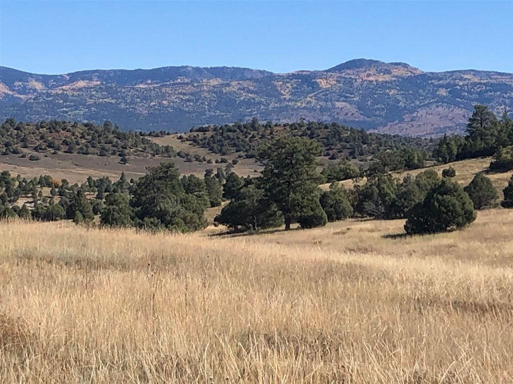 65 acres in Rio Arriba County, New Mexico