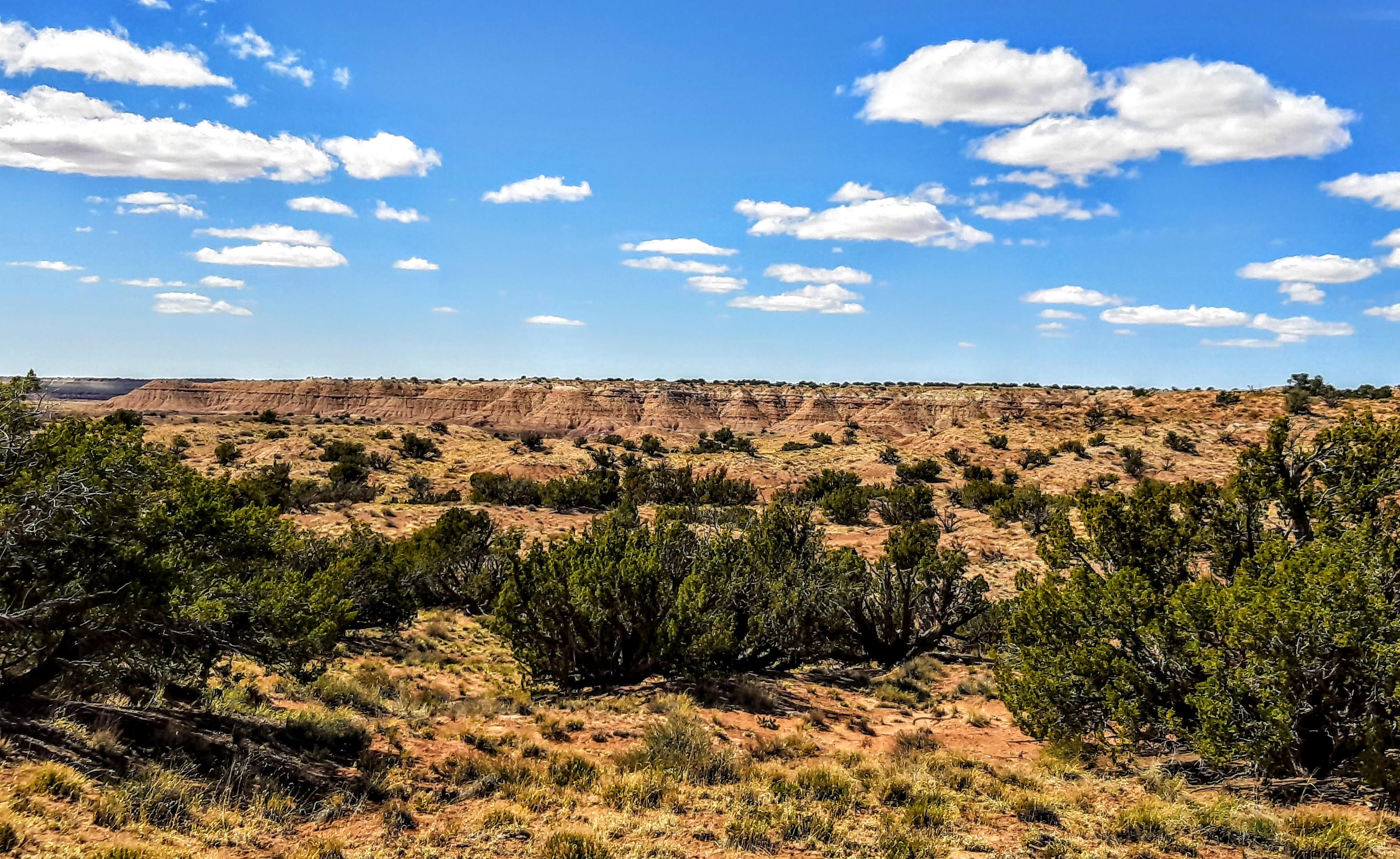 40 acres in Apache County, Arizona