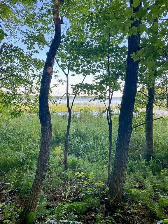 10 acres in Barron County, Wisconsin