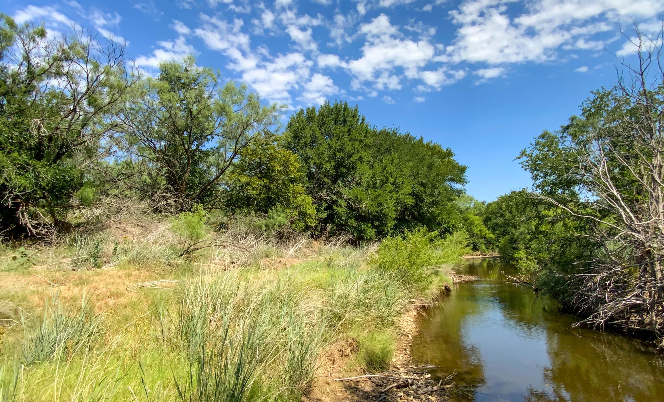 260 acres in Callahan County, Texas