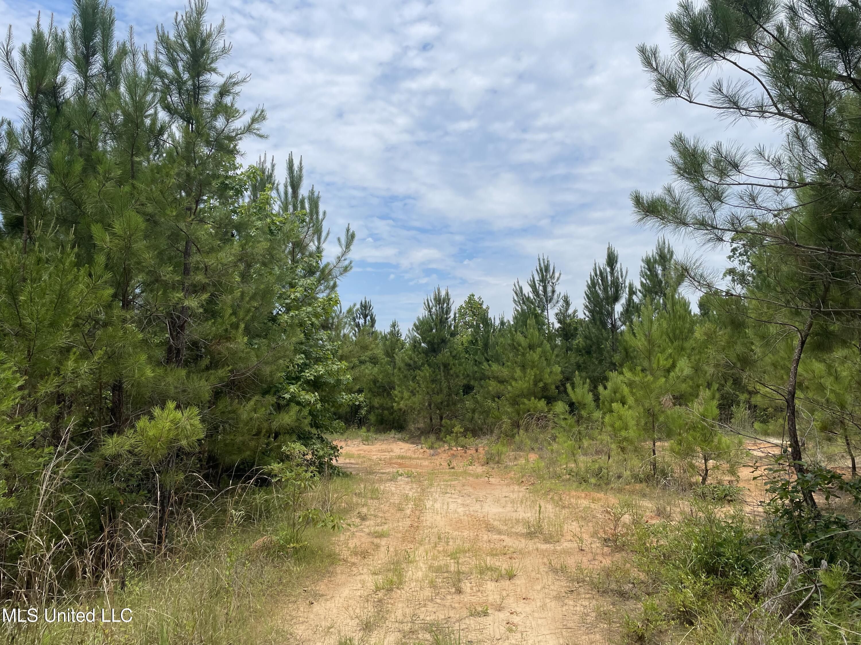 80 acres in Neshoba County, Mississippi