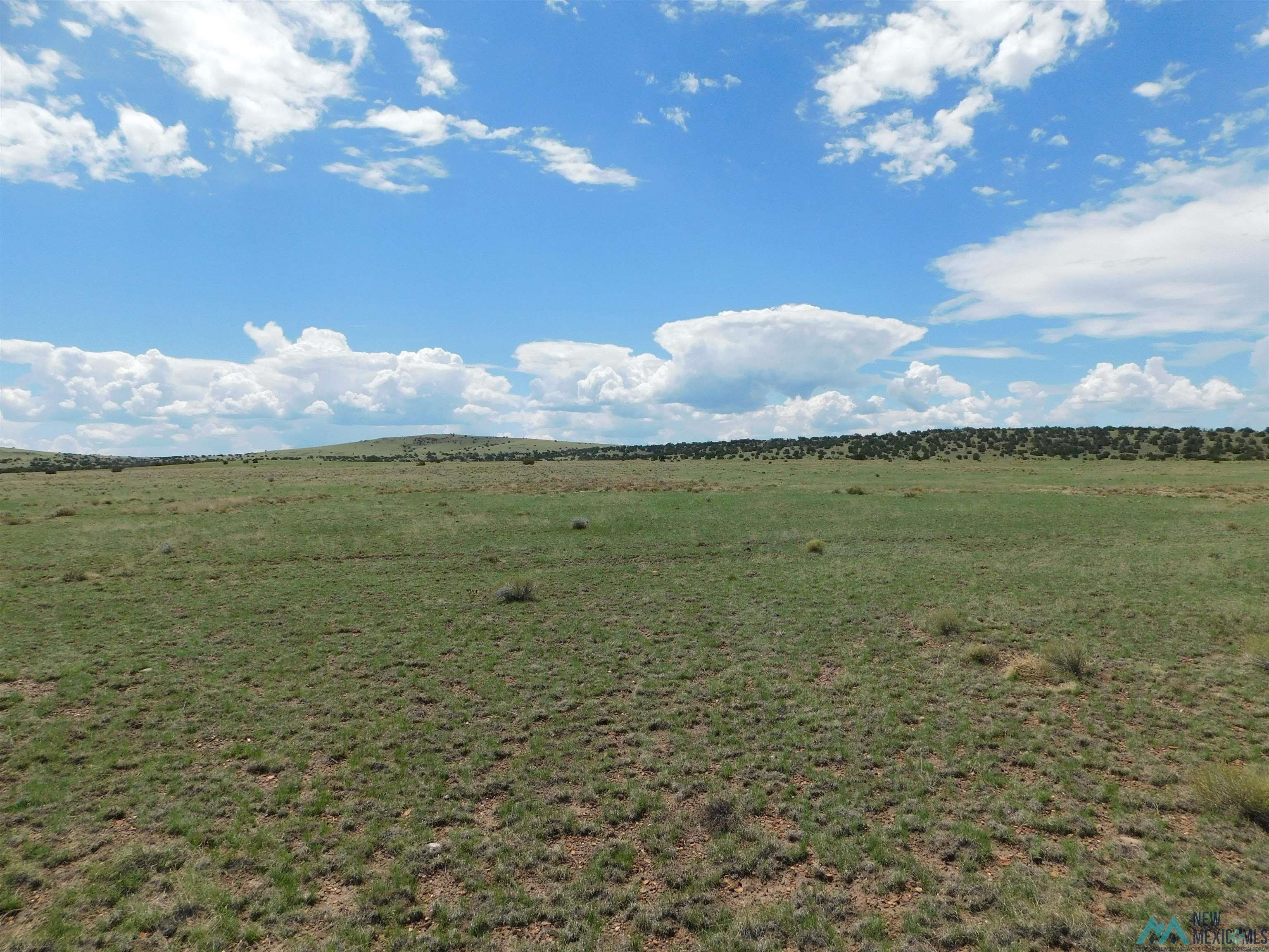 10.71 acres in Catron County, New Mexico