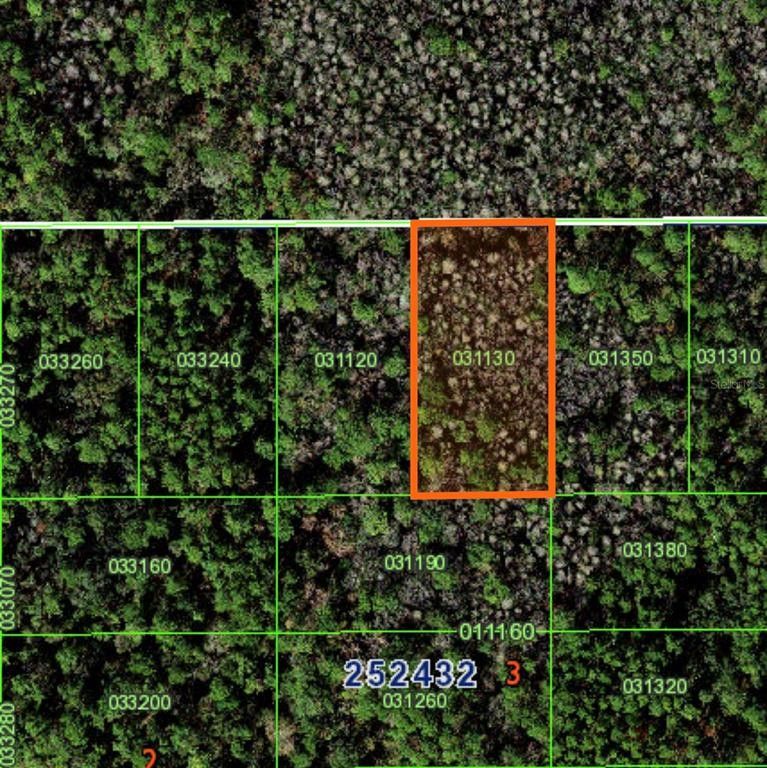 1.26 acres in Polk County, Florida