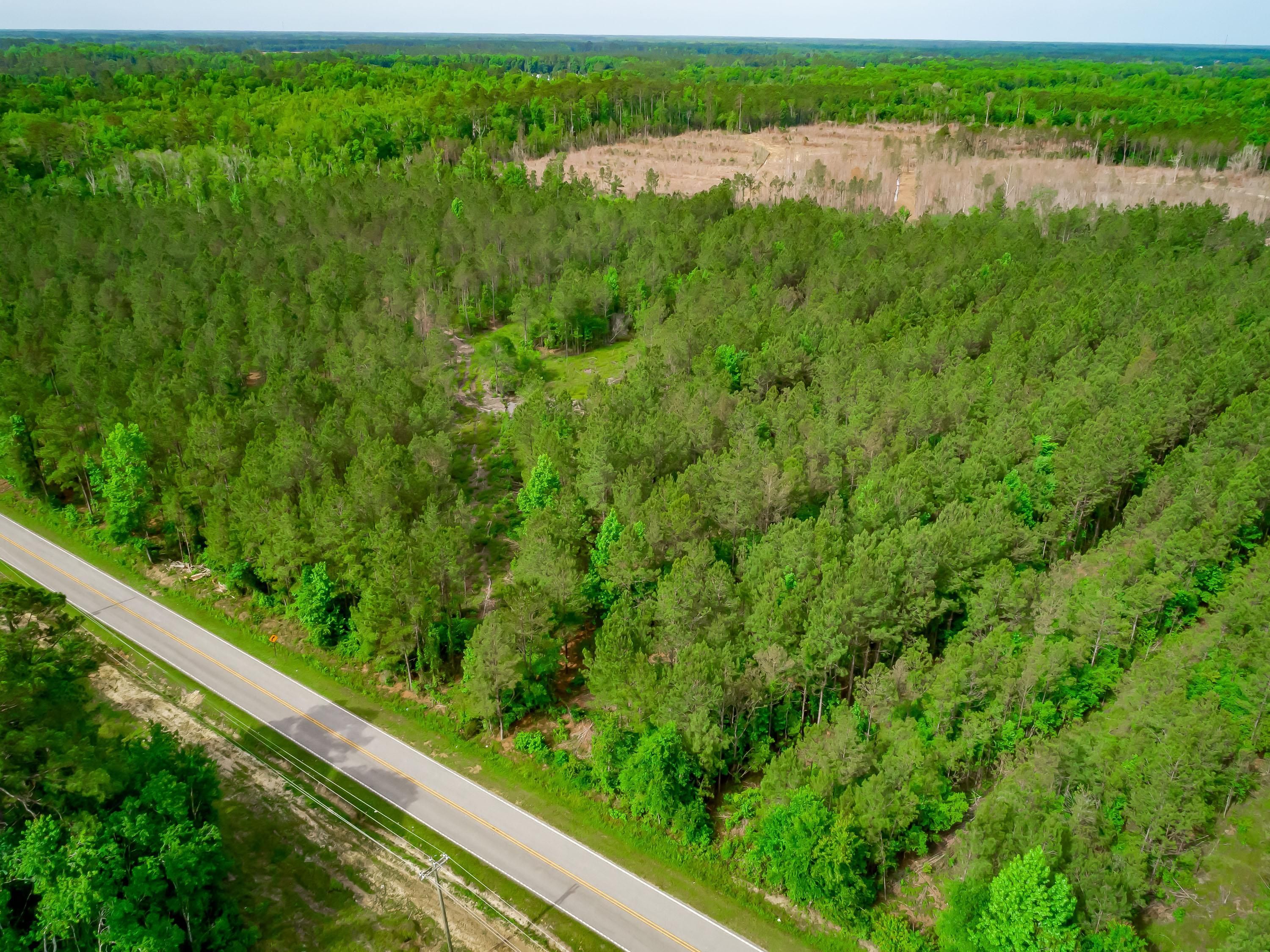 22 acres in Horry County, South Carolina