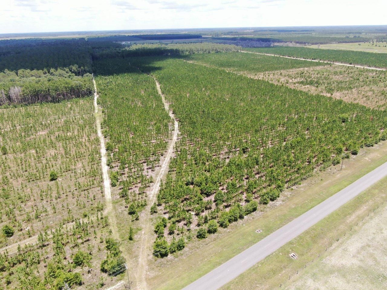 40.01 acres in Madison County, Florida