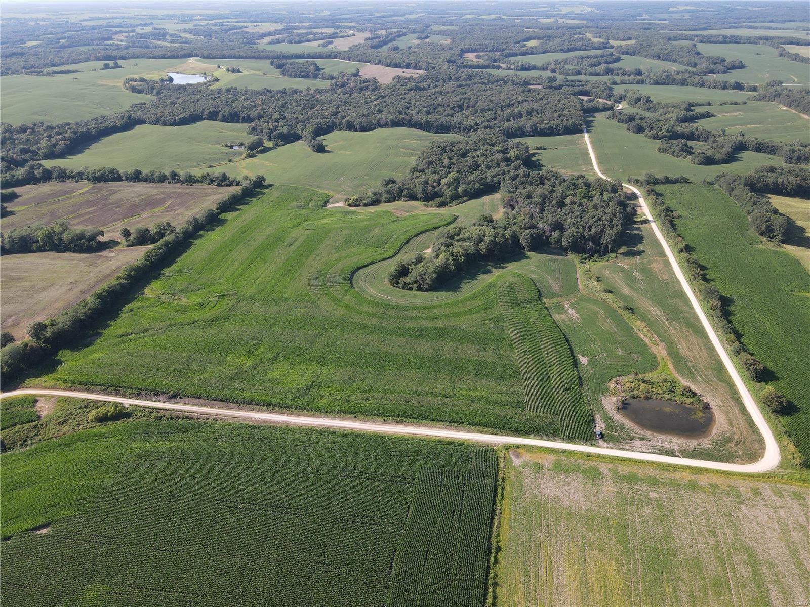 125 acres in Lewis County, Missouri