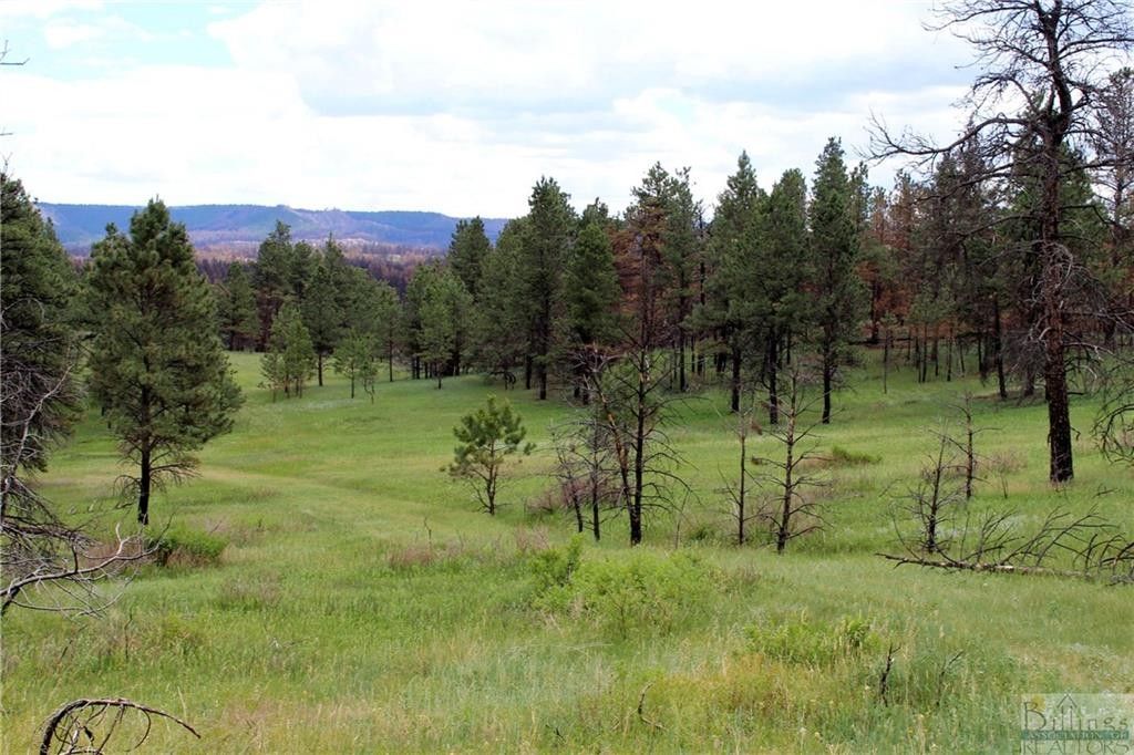 20 acres in Musselshell County, Montana