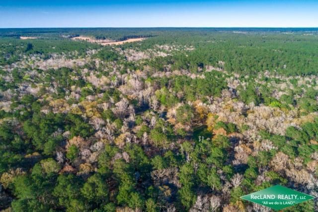 193.04 acres in Jasper County, Texas