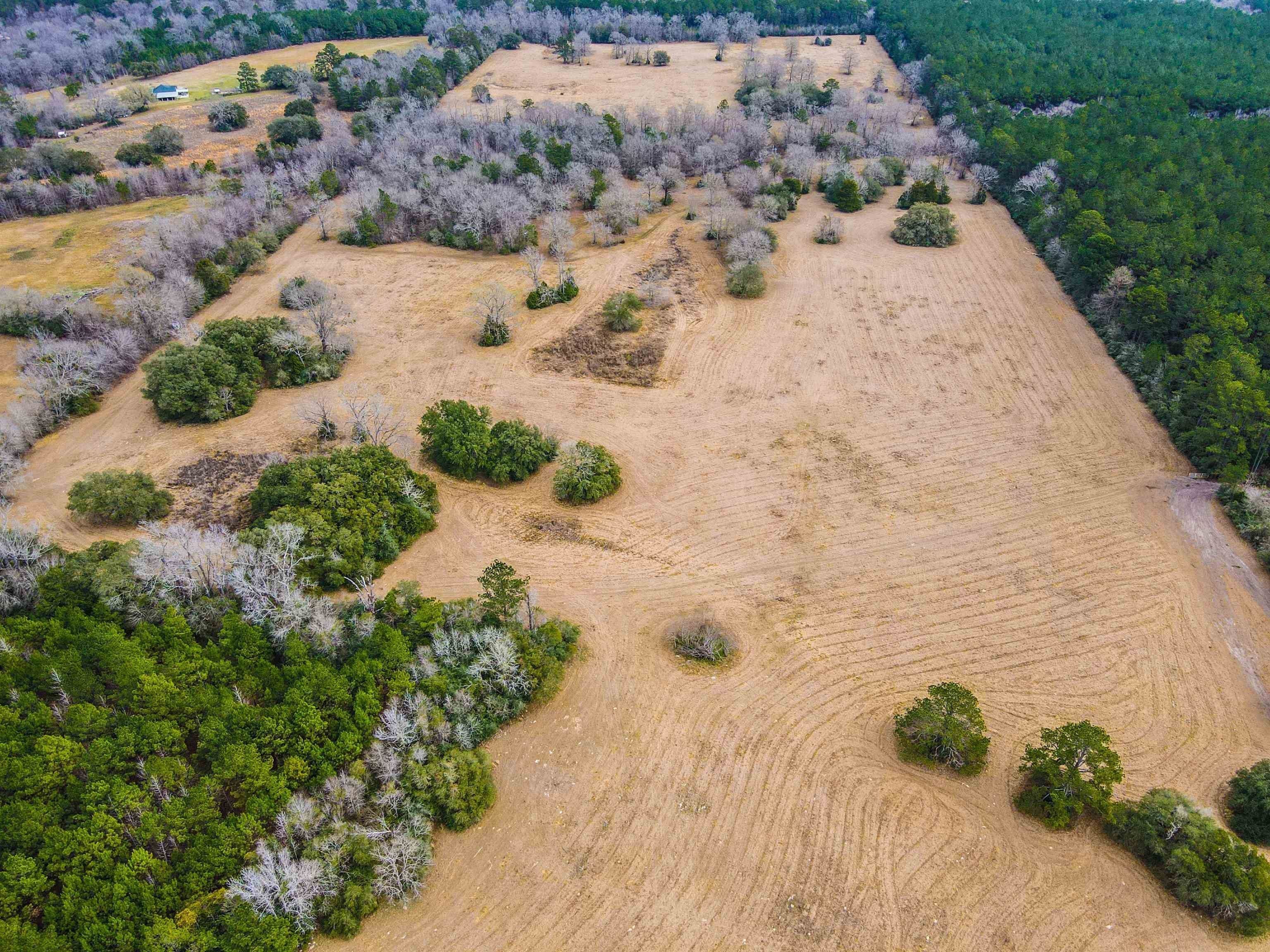 75 acres in Tyler County, Texas