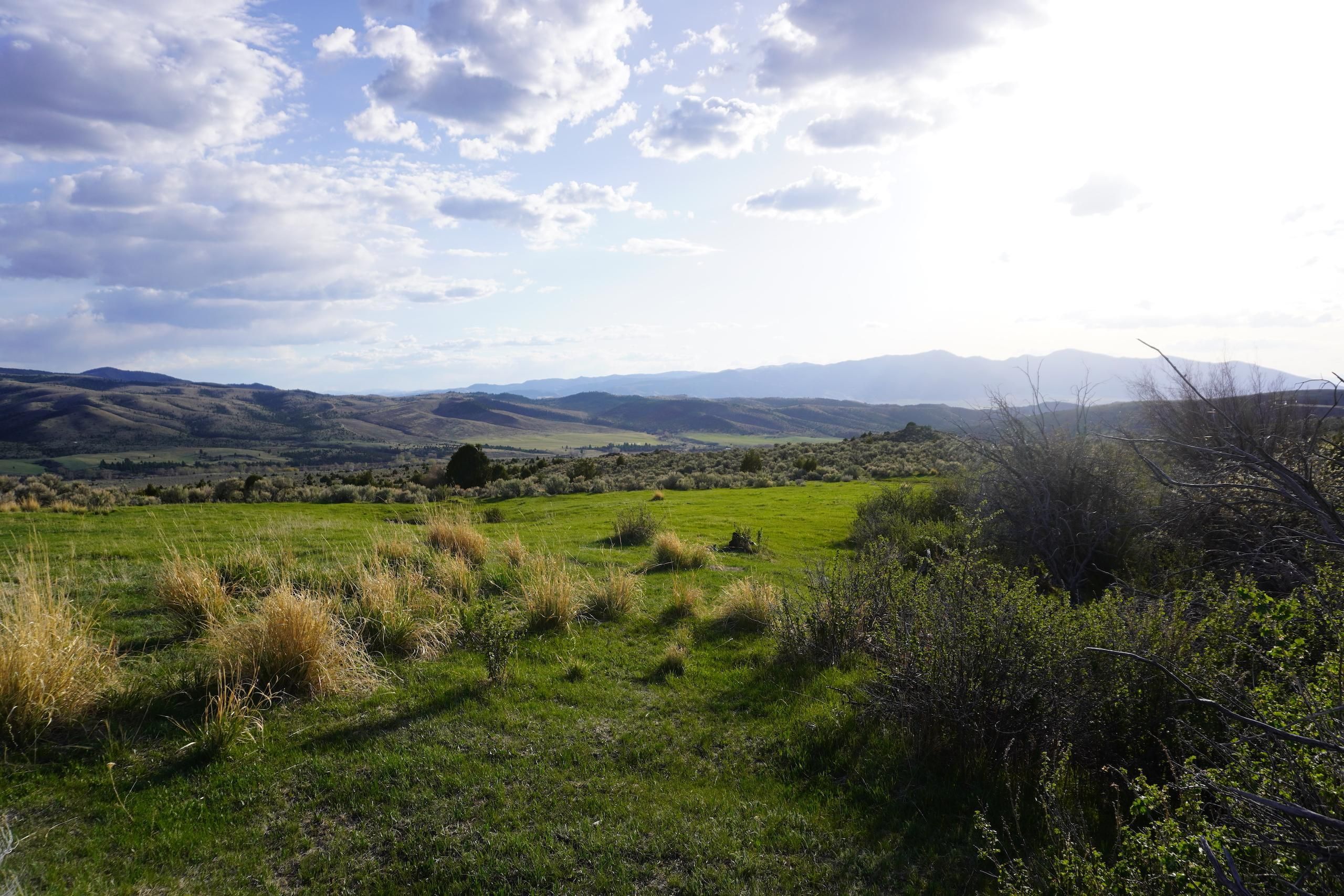 1,360 acres in Madison County, Montana
