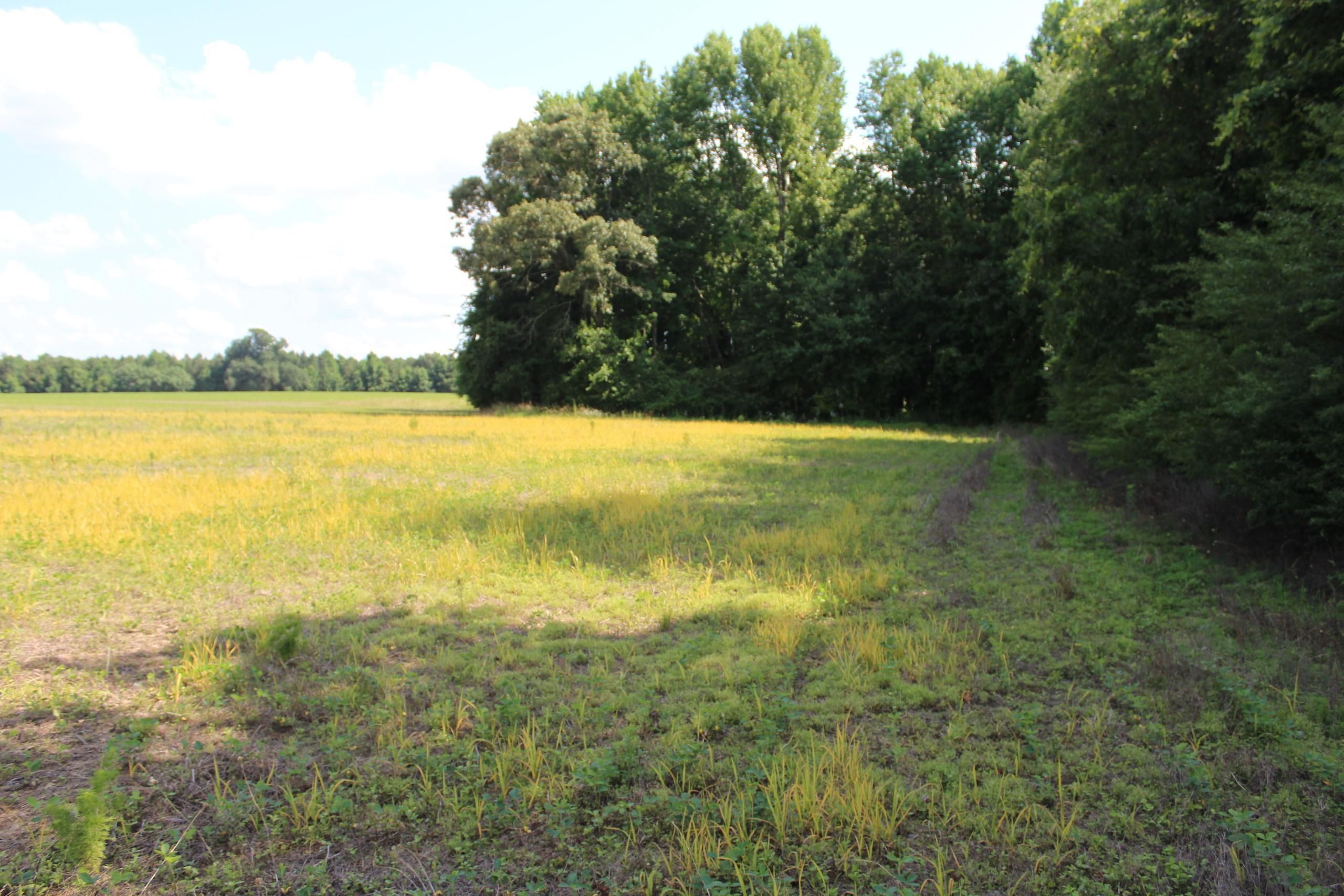 Off of South Wakefield St, Lot# WP0001, Zebulon, NC 27597 | Land.com