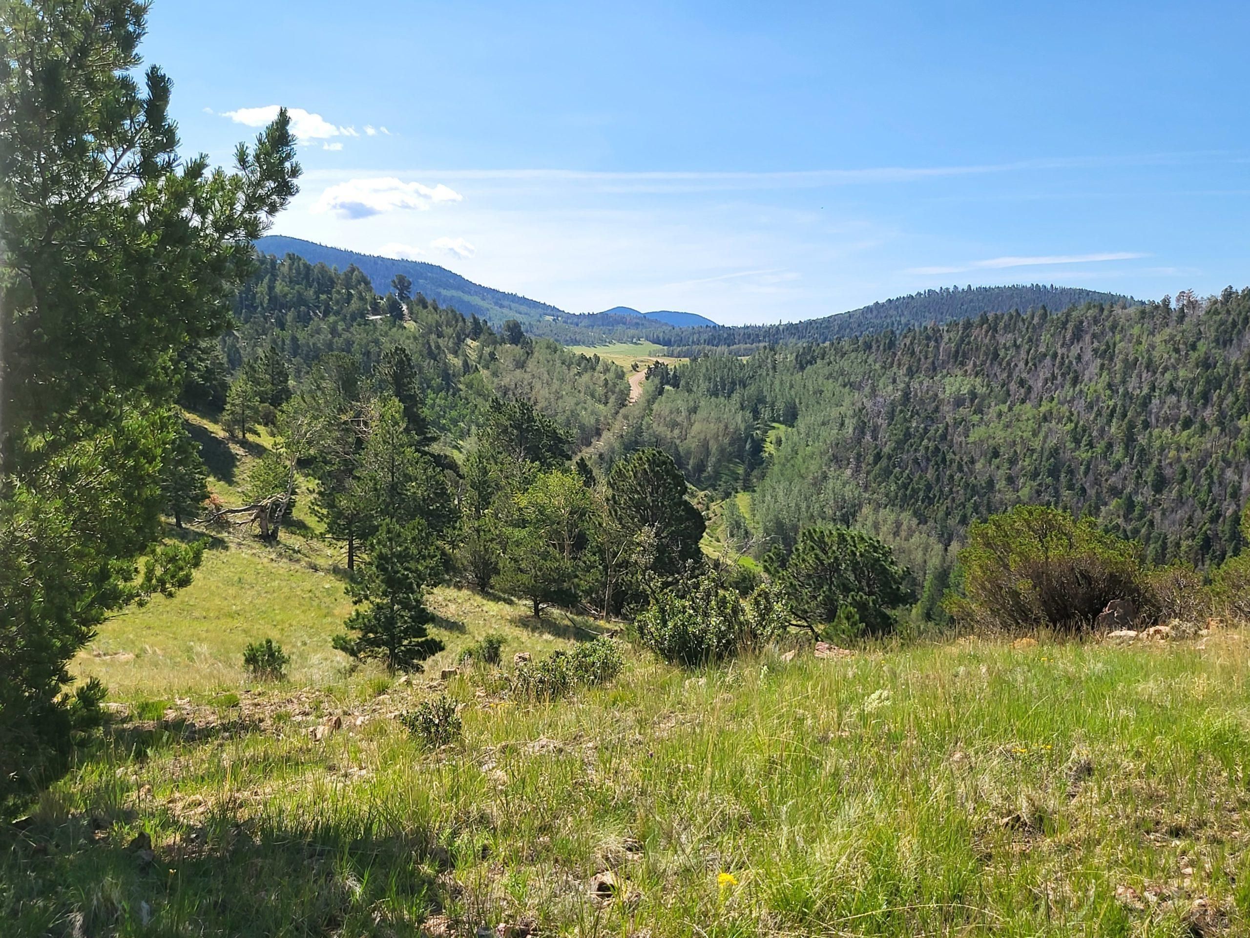 35 acres in Custer County, Colorado