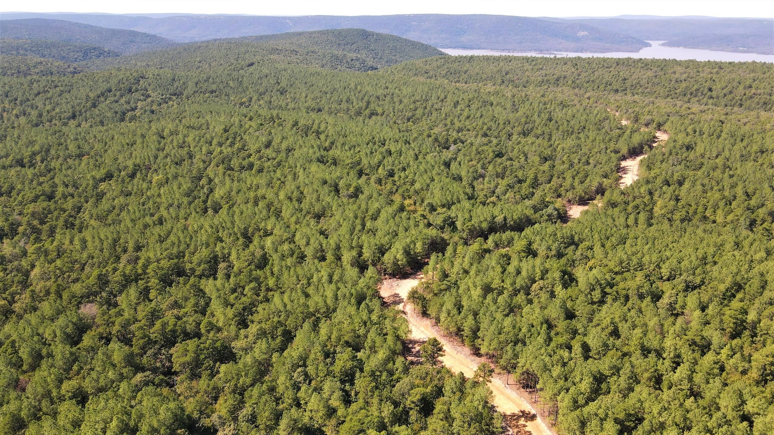 Flagpole Mountain Road, Clayton, OK 74536 | Land.com